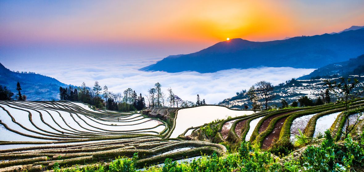 Yuanyang Travel Guide 2026: Top Attractions, Things to Do & Deals ...