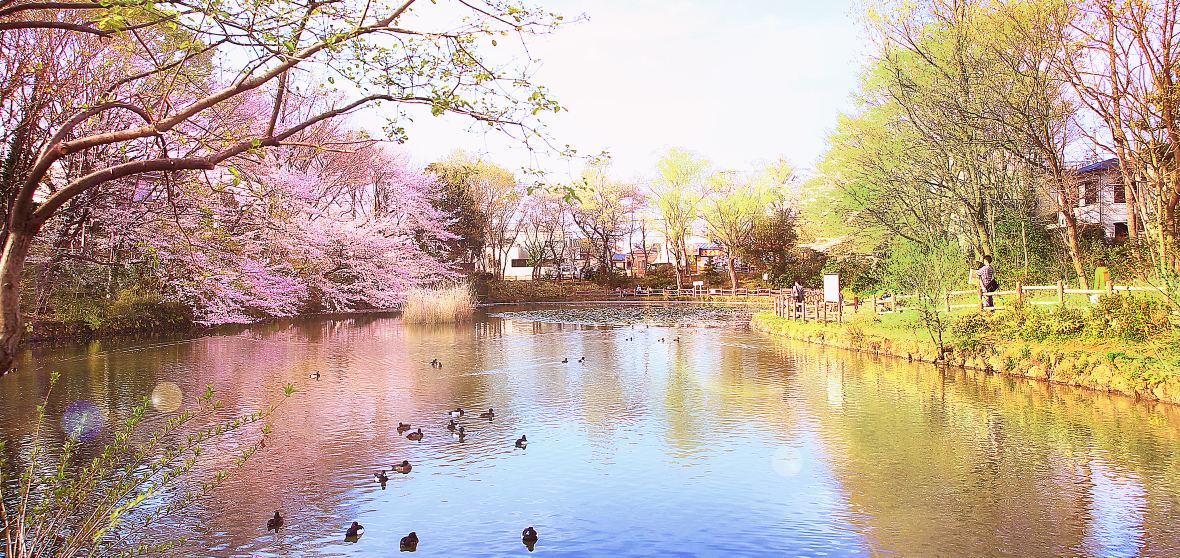 Tsurumi Ward Travel Guide 2026: Top Attractions, Things to Do & Deals ...