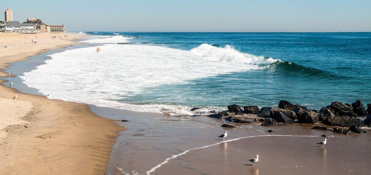 Things to Do in Neptune Township in 2024 - Top Attractions, Local Food ...