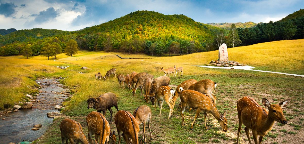 Yichun Travel Guide 2026: Top Attractions, Things to Do & Deals | Trip ...