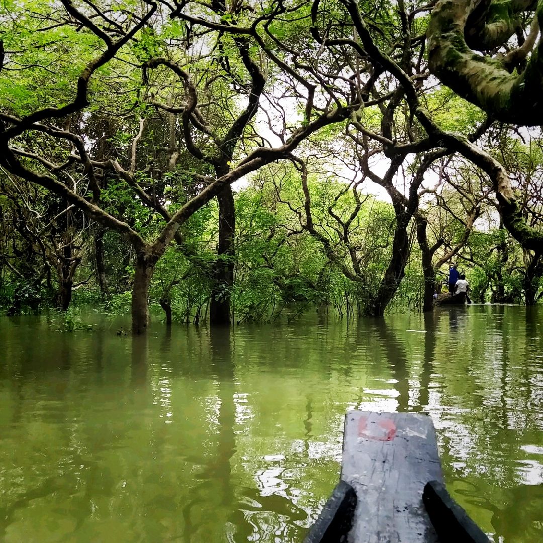 Things to Do in Sylhet in 2024 - Top Attractions, Local Food, Hotels ...