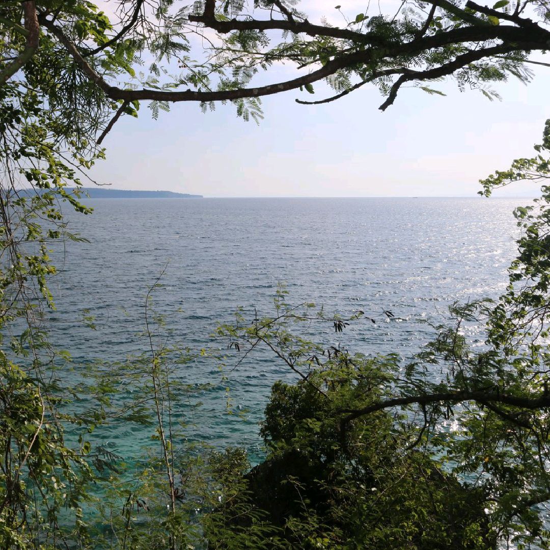 Things to Do in Samal Island in 2024 - Top Attractions, Local Food ...