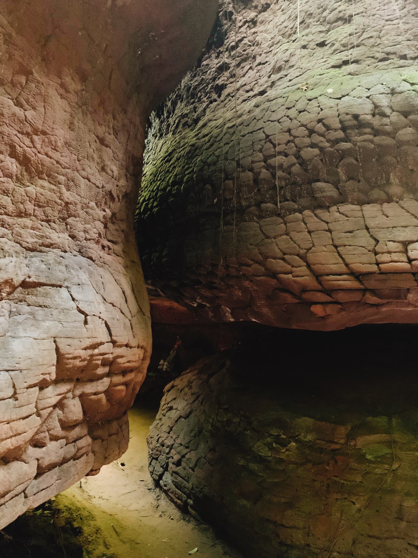 Bueng Khong Long District Travel Guide 2023 - Things to Do, What To Eat ...