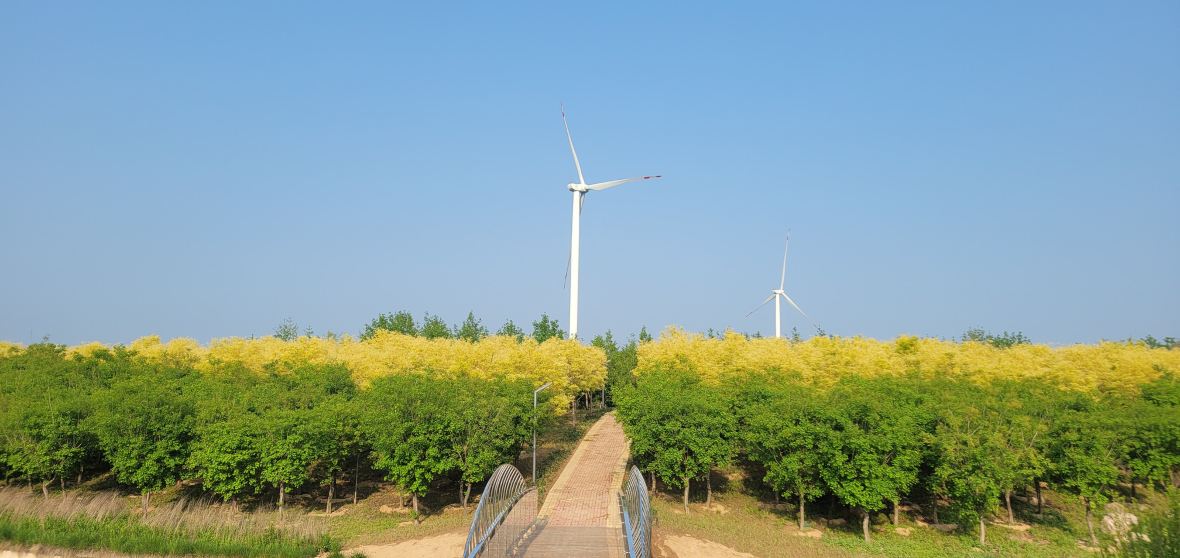 Things to Do in Nanle in 2025 - Top Attractions, Local Food, Hotels ...