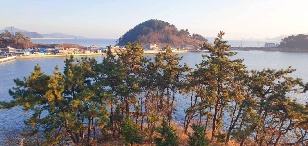 Things to Do in Jinhae-gu in 2025 - Top Attractions, Local Food, Hotels ...