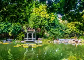 jin ling zhen shang lin feng yu qiu chang Tickets [2025] - Promos ...