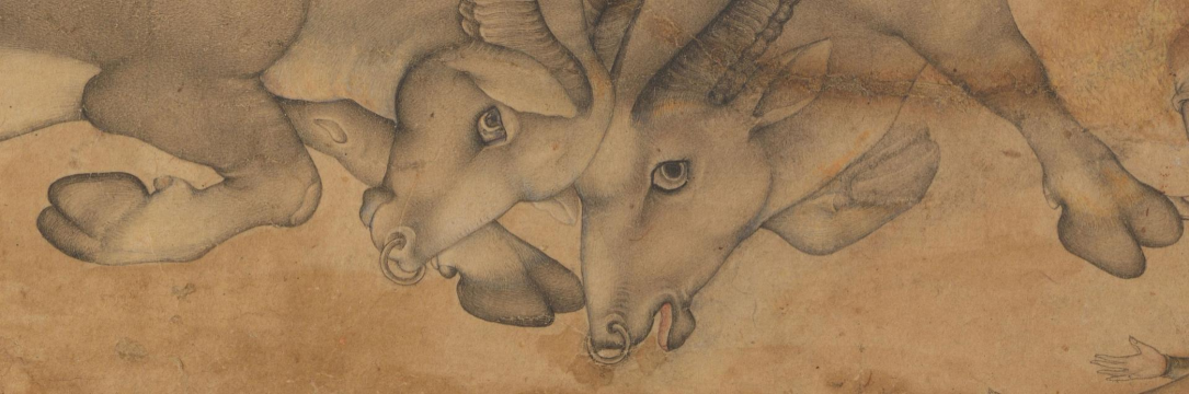 Ink and Ivory: Indian Drawings and Photographs Selected with James ...