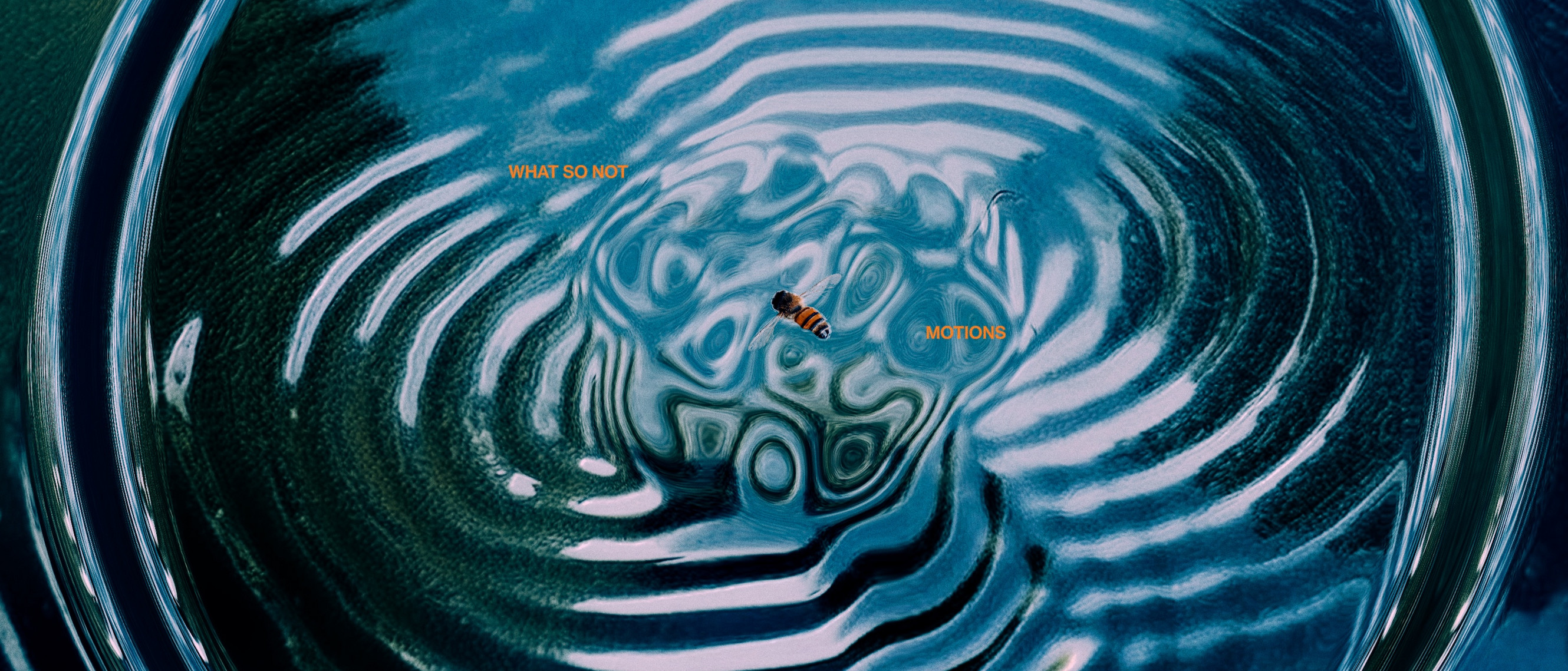 What So Not Live | Northbridge: Tickets, Dates & Itineraries | Trip.com