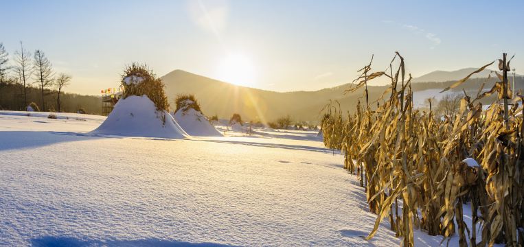 Shulan Travel Guide 2026: Top Attractions, Things to Do & Deals | Trip ...