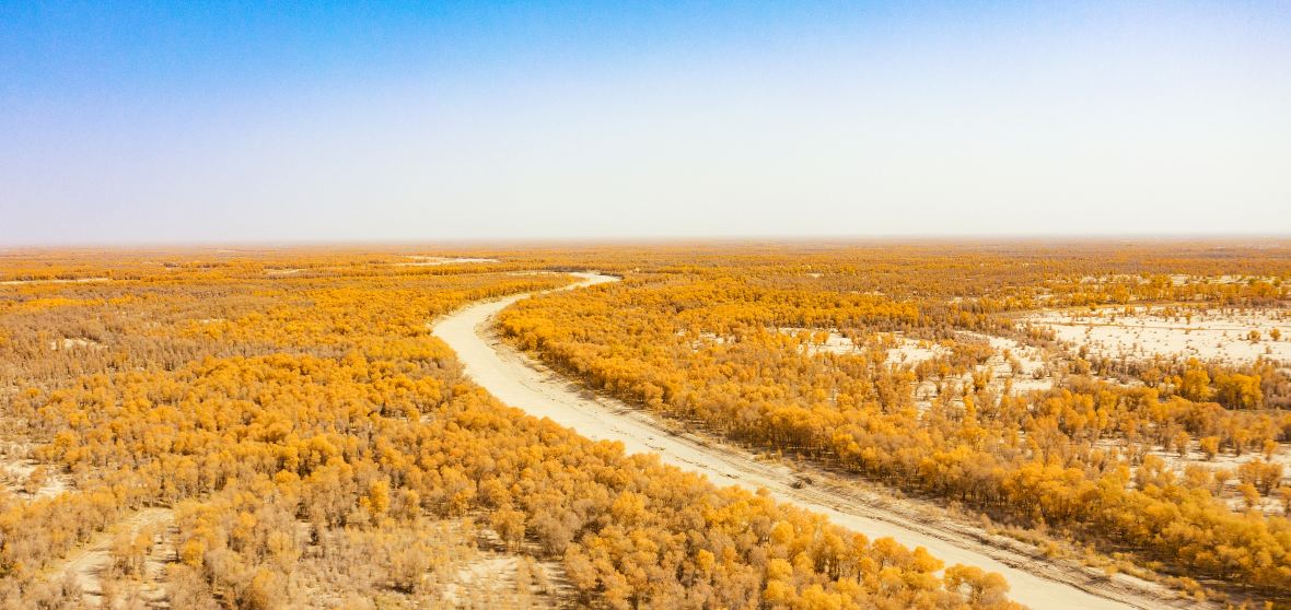 Tumxuk Travel Guide 2025: Top Attractions, Things to Do & Deals | Trip ...