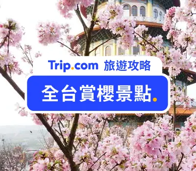 【台灣櫻花季2025】全台賞櫻，陽明山、九族、武陵農場櫻花攻略，粉紅風暴來襲！