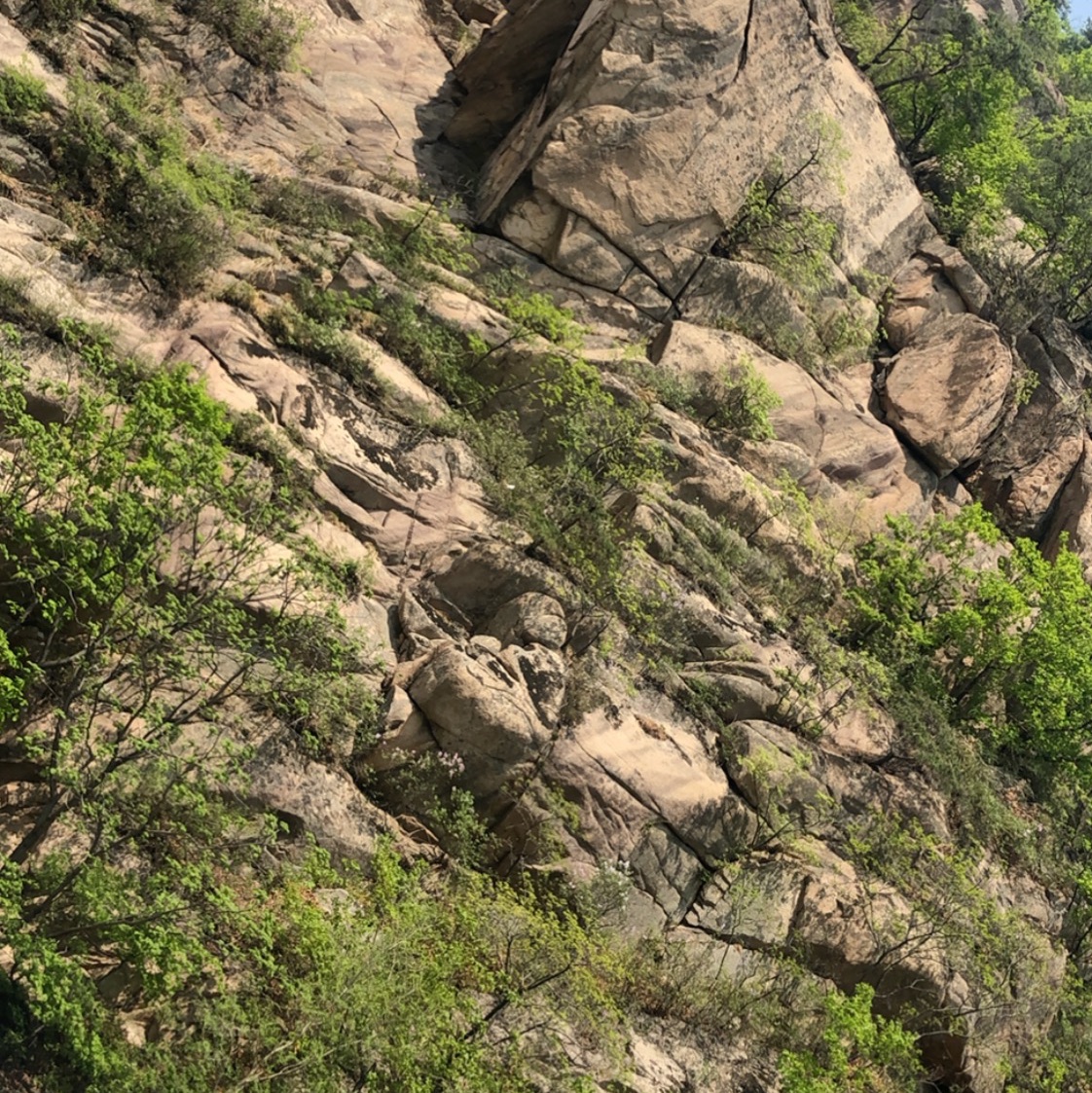 Fengcheng 2023 Top Things to Do - Fengcheng Travel Guides - Top ...