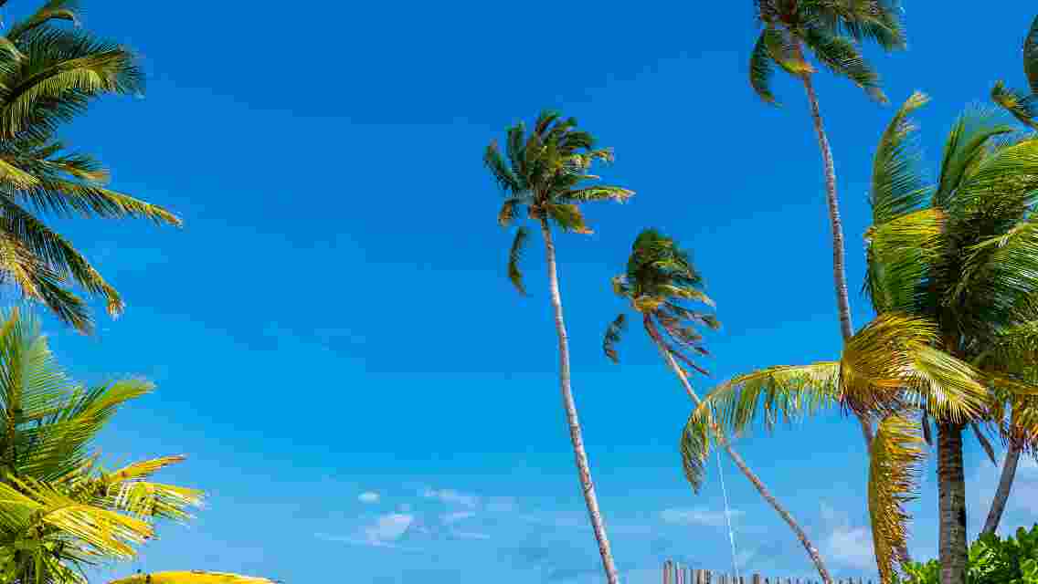 프랑스 니스 구시가지 생폴 드 방스 타운 칸 구항구 라스케이 궁전 일일 투어 코트다쥐르 칸 레드카펫 중국