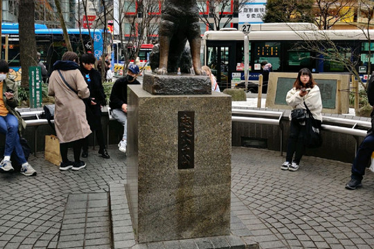 Hachiko Square #shibuyacrossin | Trip.com โตเกียว