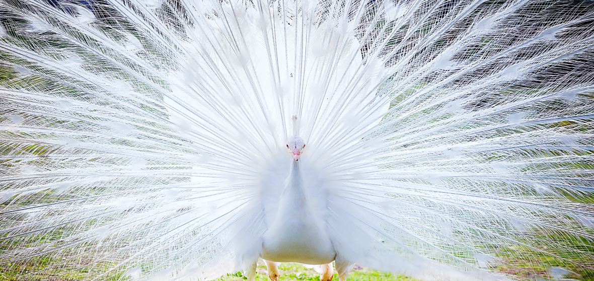 Things to do in Le he Le Du Resort (2025): Top nearby activities ...