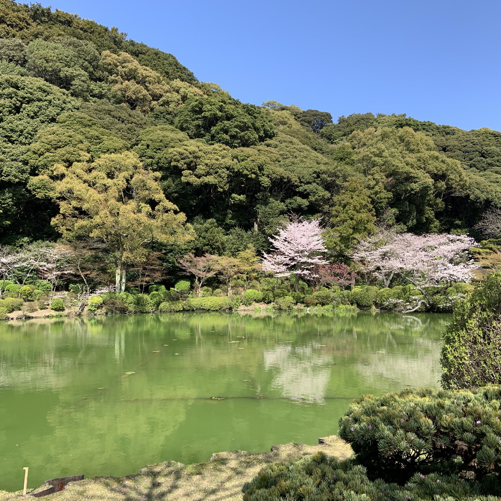 Beppu 2023 Top Things to Do - Beppu Travel Guides - Top Recommended ...