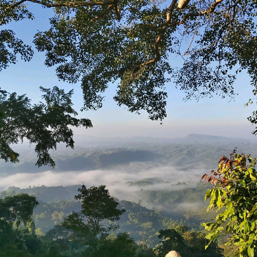 Sajek 2023 Top Things to Do - Sajek Travel Guides - Top Recommended ...