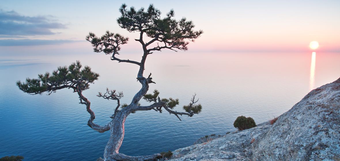 คู่มือท่องเที่ยวใกล้Dong-gu: กิจกรรม สภาพอากาศ การเดินทาง สถานที่ท่อง ...