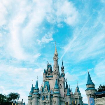 Disney World Inside Look! | Trip.com Orlando