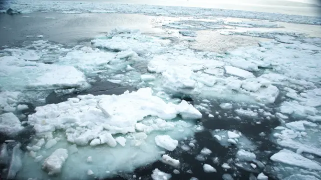 Jambiani Beach - Tickets, Opening Hours, Reviews & Photos [2024] | Trip.com