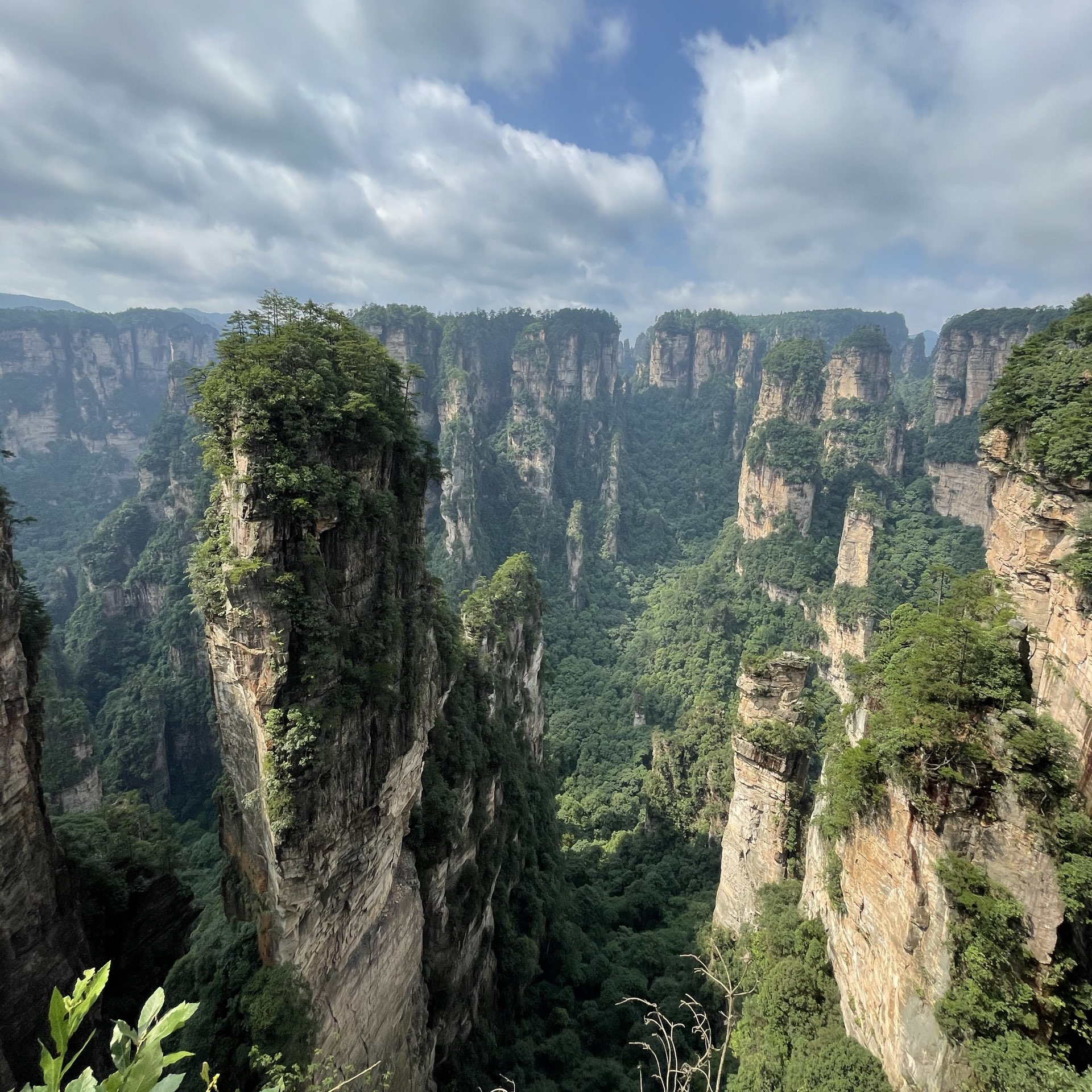 Things to Do in Wulingyuan District in 2024 - Top Attractions, Local ...