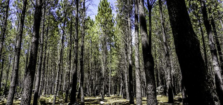 Kampong Speu Province Independent Travel Guide (2025): Top Things to Do ...