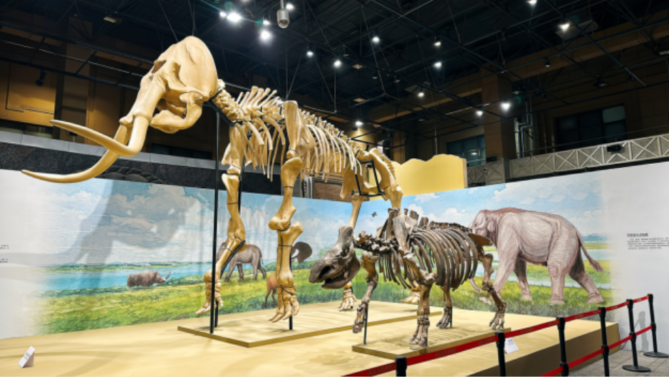 《閃耀東方》泥河灣百萬年人類印記展 | 國家自然博物館的日期及行程 | Trip.com