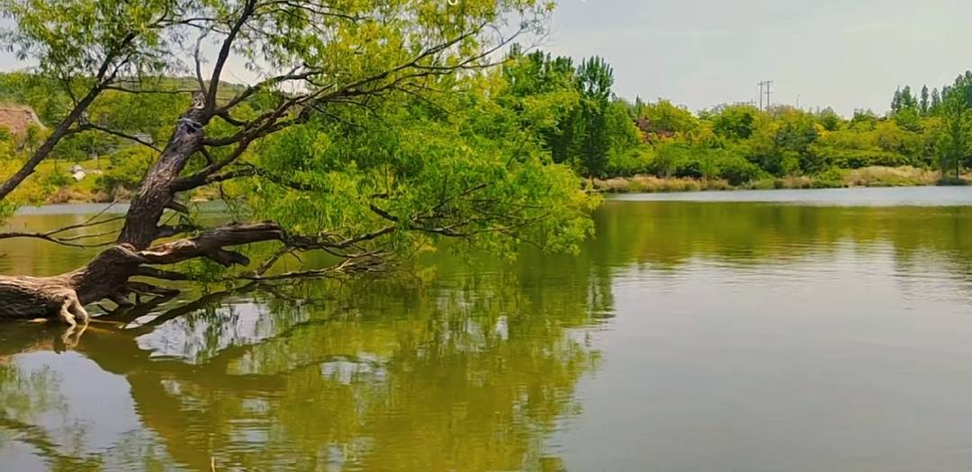 Guihe Wetland Park - เวลาเปิด-ปิด, รีวิว & รูปภาพ [2024] | Trip.com