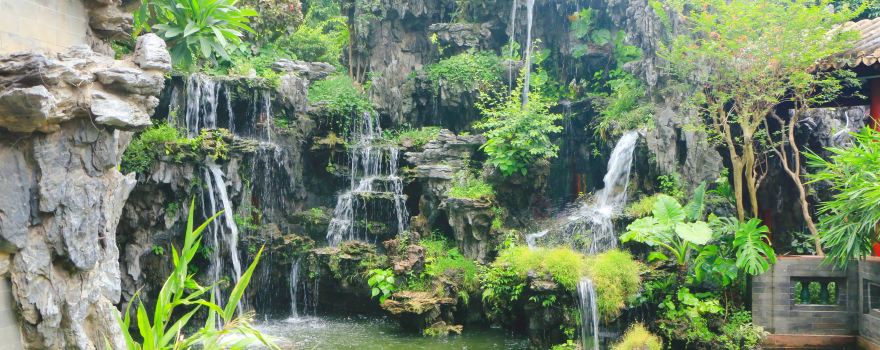 Things to Do in Shunde District in 2025 - Top Attractions, Local Food ...