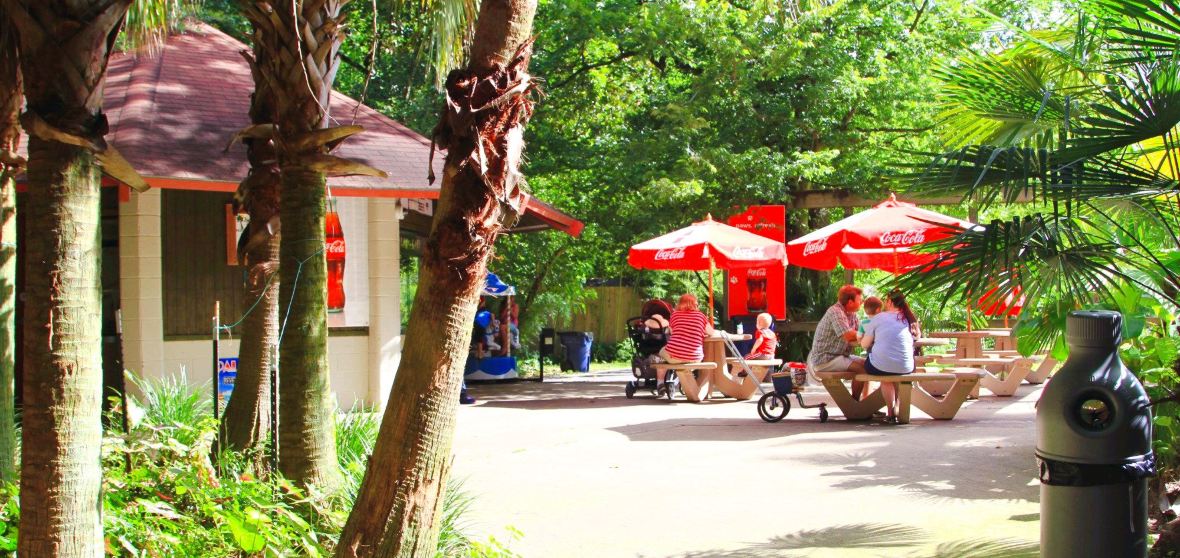 Rapides Parish Travel Guide 2026: Top Attractions, Things to Do & Deals ...