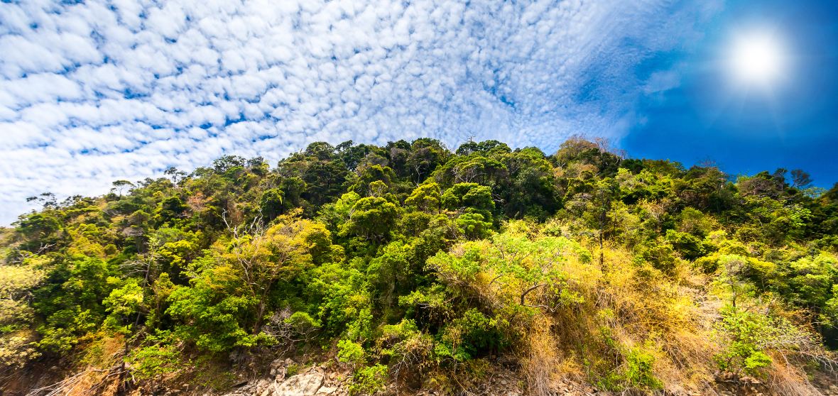 Things to Do in Mueang Phuket in 2025 - Top Attractions, Local Food ...