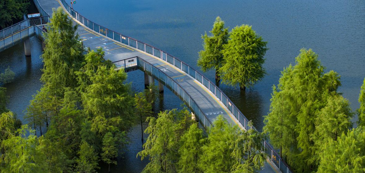 Linan Downtown and Qingshan Lake scenic spot Travel Guide 2026: Top ...