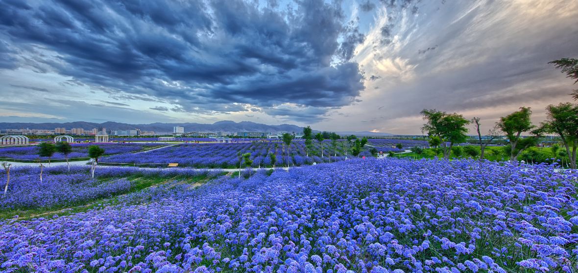 Jinchang Travel Guide 2025: Top Attractions, Things to Do & Deals ...