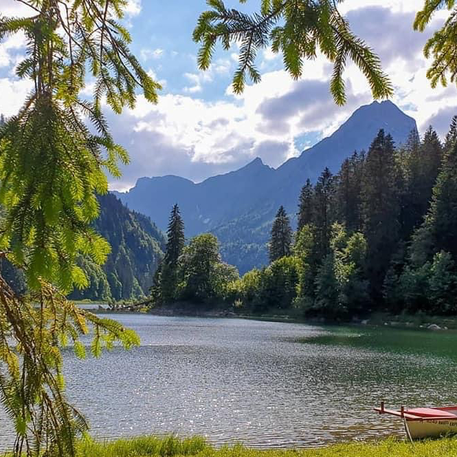 Simmerath Travel Guide 2024 - Things to Do, What To Eat & Tips | Trip.com