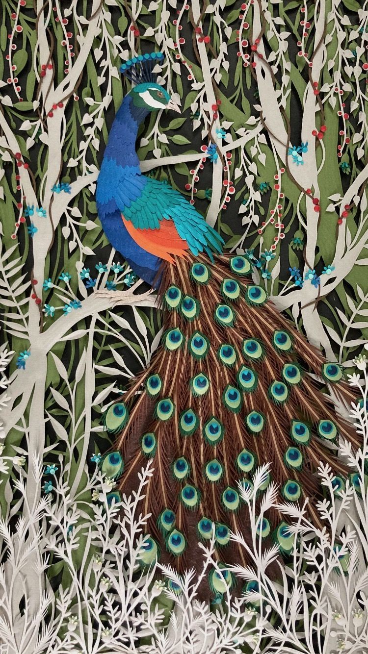 Anna Cook: Paper Transformed | New Ashgate Gallery: Tickets, Dates ...