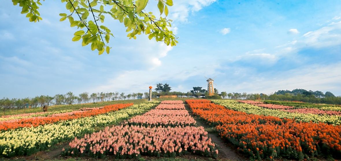 Shizhong District Independent Travel Guide (2025): Top Things to Do ...