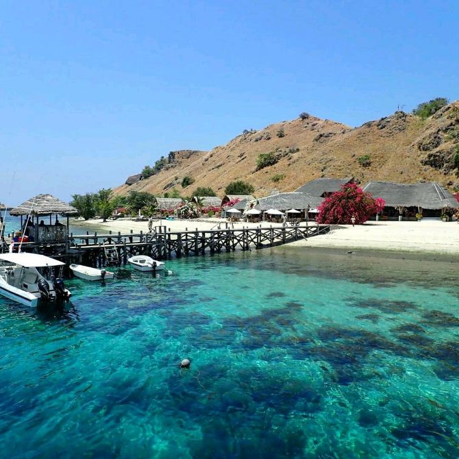 Komodo Resort | Trip.com Komodo National Park Travelogues