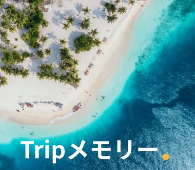 旅行がお得に！無料でTrip Coinsを貯められるTripメモリーに参加して割引ポイントをゲットしよう！