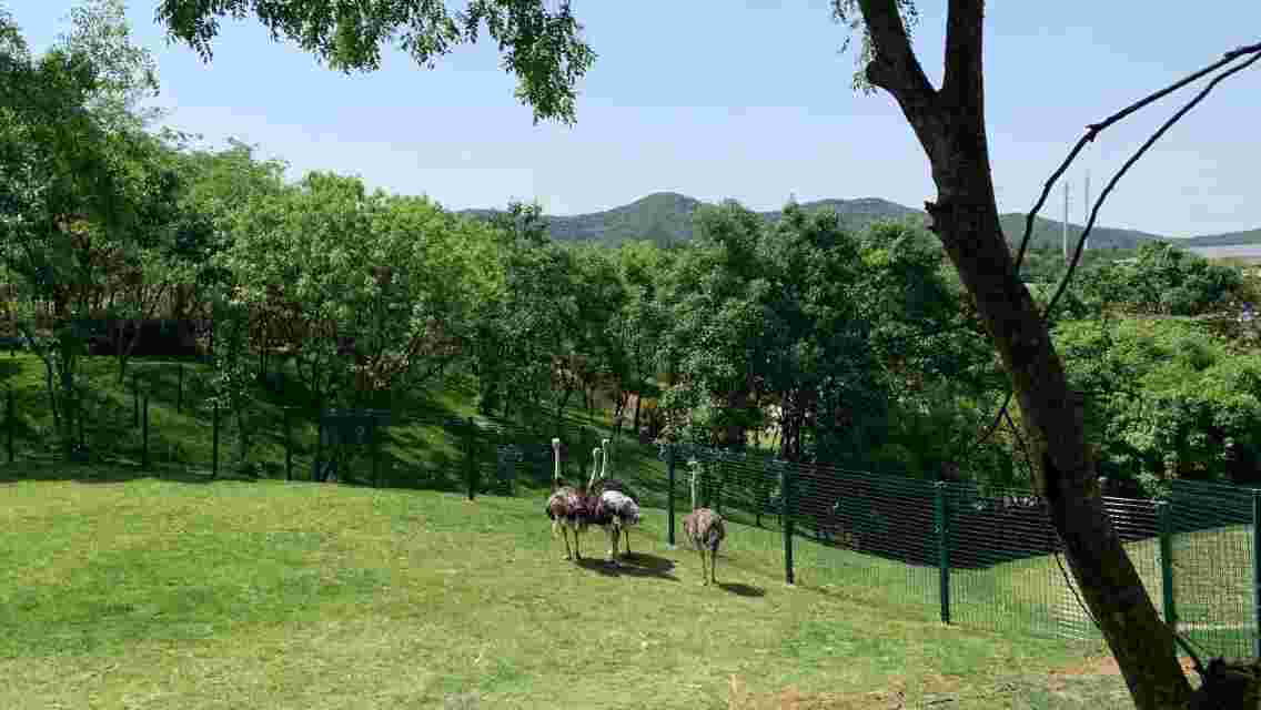 Nanjing Tangshan No. 1 Hot Spring Resort + Ziqing Lake Wildlife World ...