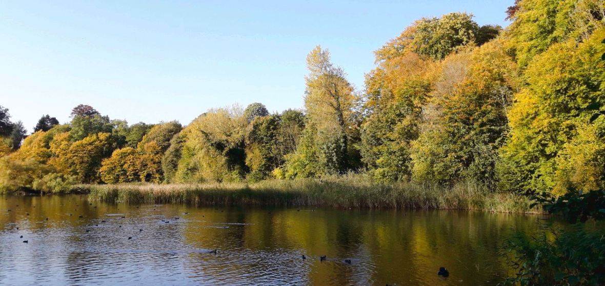 Auderghem Travel Guide 2026: Top Attractions, Things to Do & Deals ...