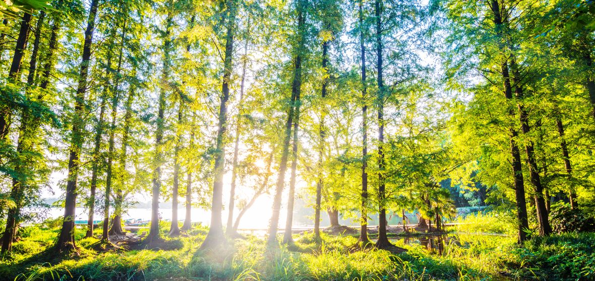 Jiangdu District Travel Guide 2025: Top Attractions, Things to Do ...