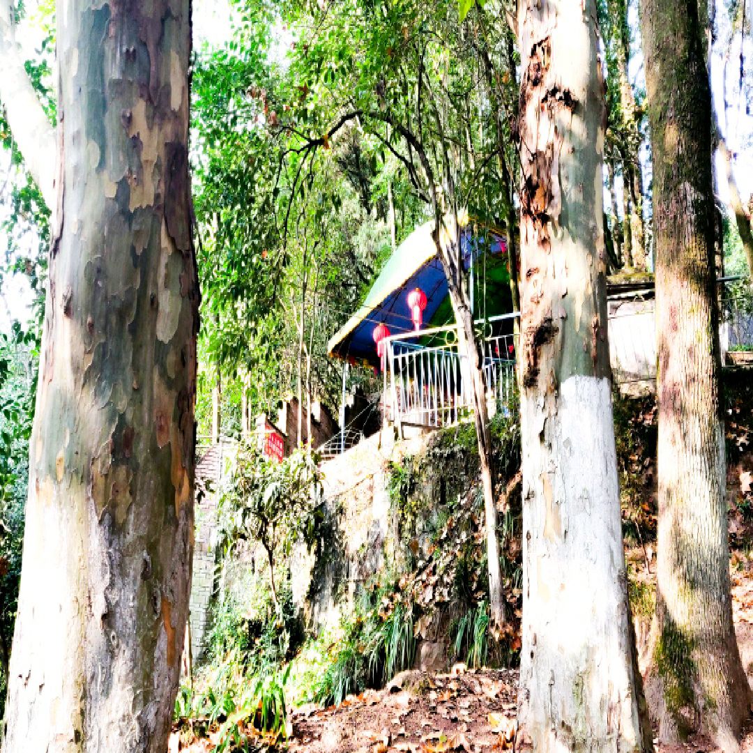 Dazhou 2023 Top Things to Do - Dazhou Travel Guides - Top Recommended ...
