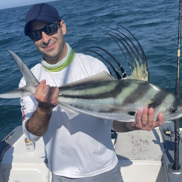 Cabo San Lucas 2022 Top Things to Do - Cabo San Lucas Travel Guides ...