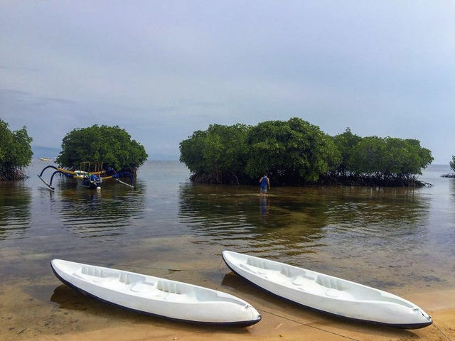 Mangrove Point | Trip.com Bali