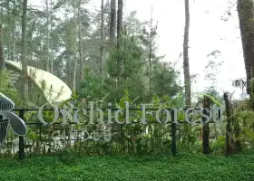 réductions sur les billets de Bukit Jamali Park Teras Desa Sukamandi ...