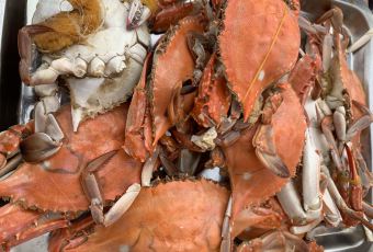 CHONG SHUN HAI XIAN FAN DIAN (The Dragon Back Scenic Area, Xingcheng ...