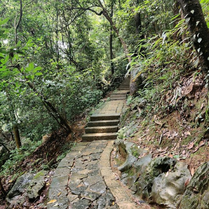 The Tiger Jump | Trip.com Hangzhou Travelogues