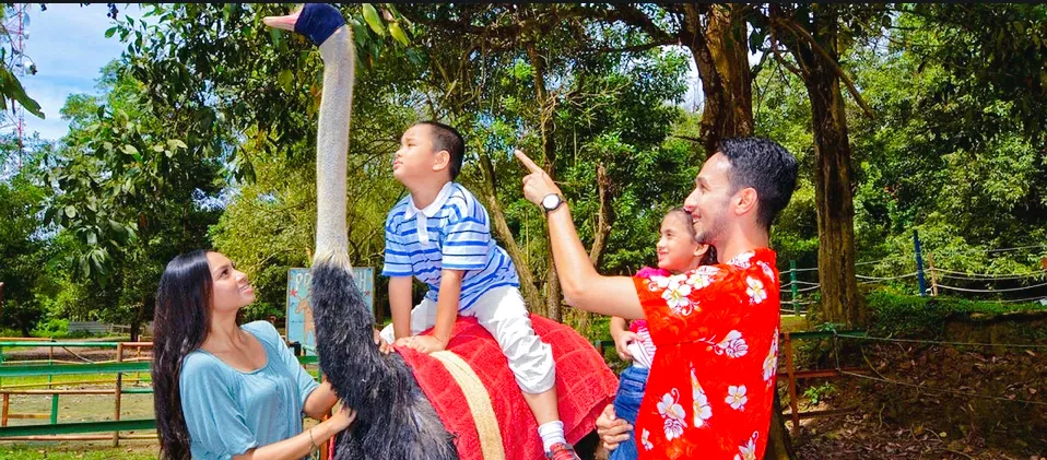 réductions sur les billets de P.D. Ostrich Show Farm, prix et frais ...