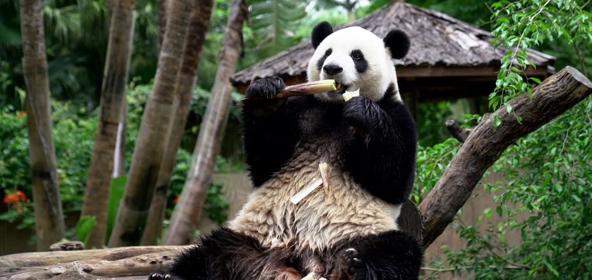 Things to do in Haikou (2025): Top nearby activities,popular ...