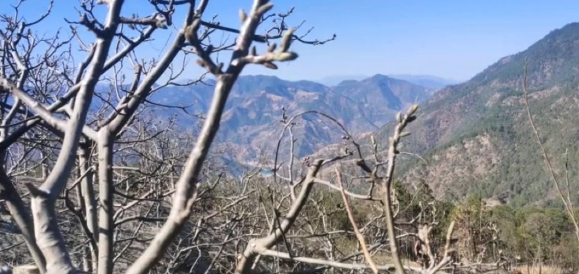 Miyi Travel Guide 2024 - Things to Do, What To Eat & Tips | Trip.com